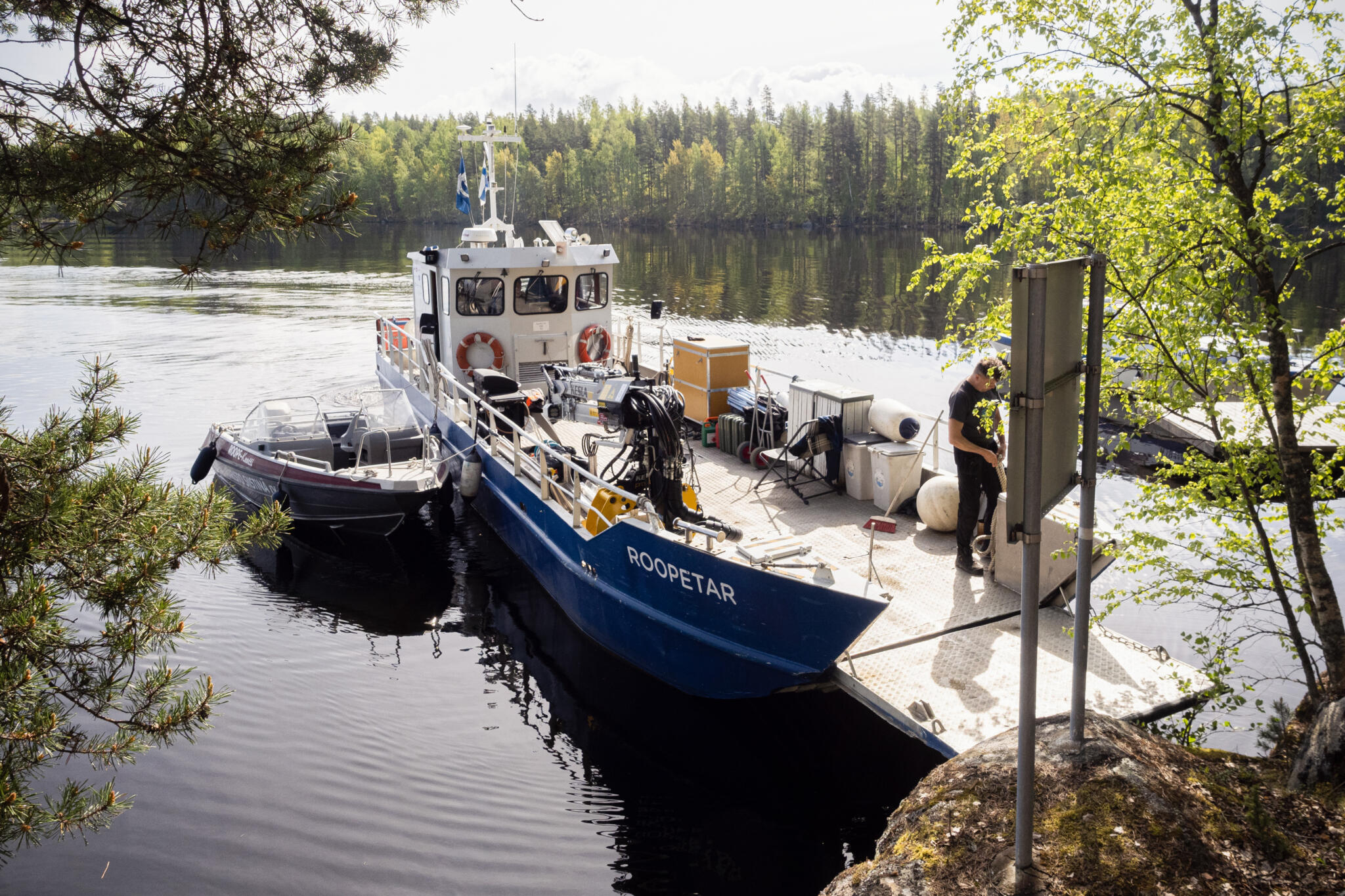 Tulevaisuuden tekijä | Alva